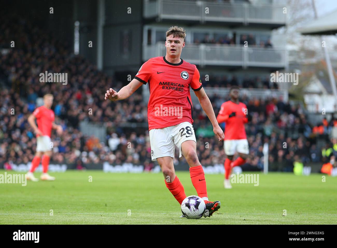 Evan ferguson brighton 2024 hi-res stock photography and images - Alamy