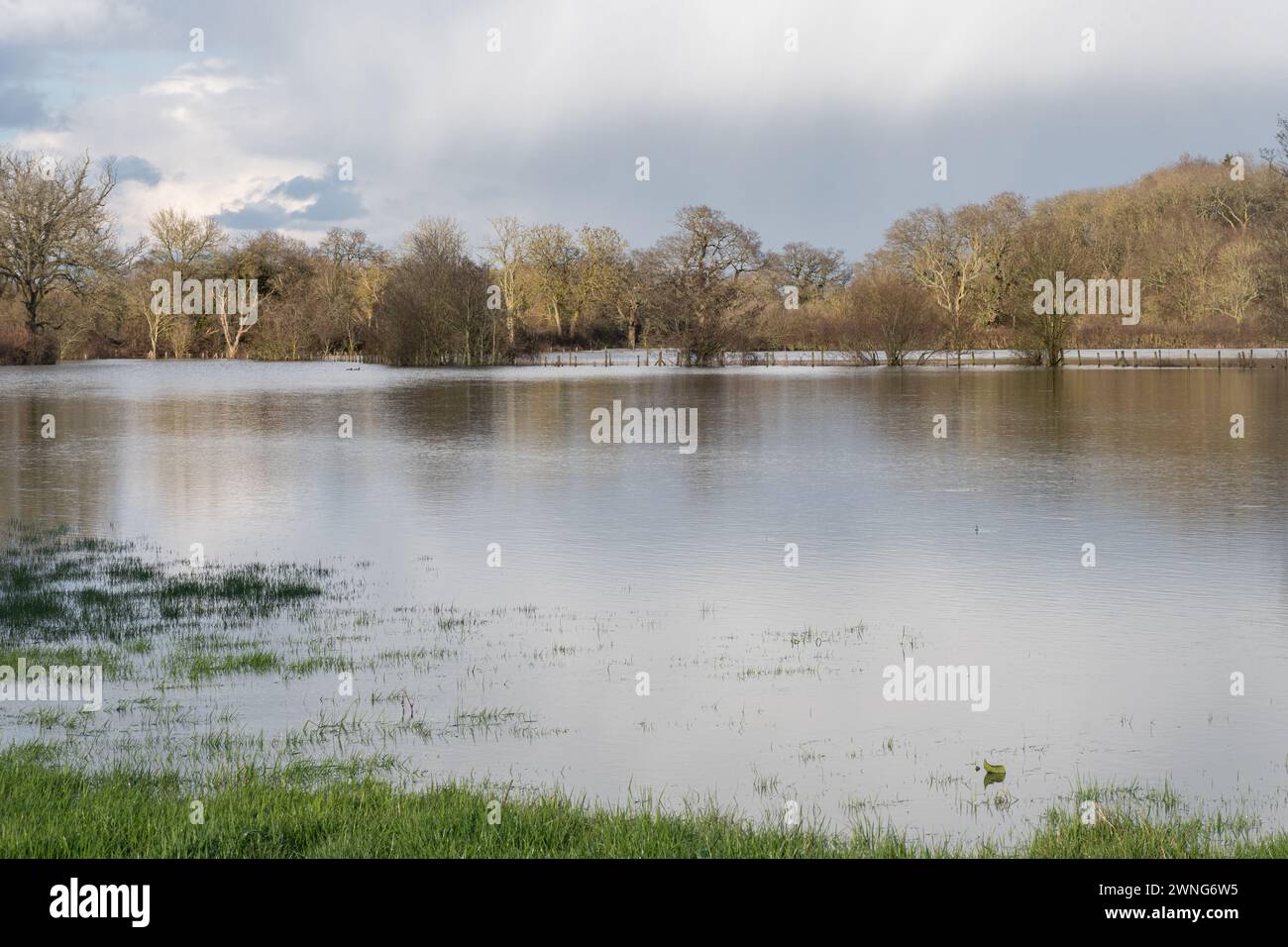 2nd March 2024. Following the warmest February on record in England and ...