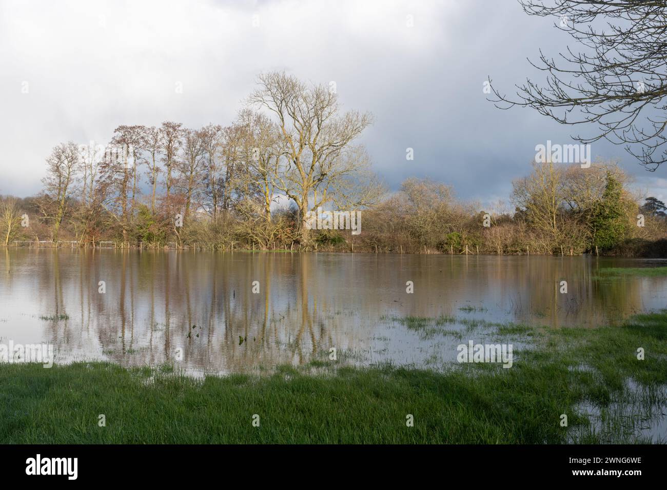 Flooding uk 2024 field hi-res stock photography and images - Alamy