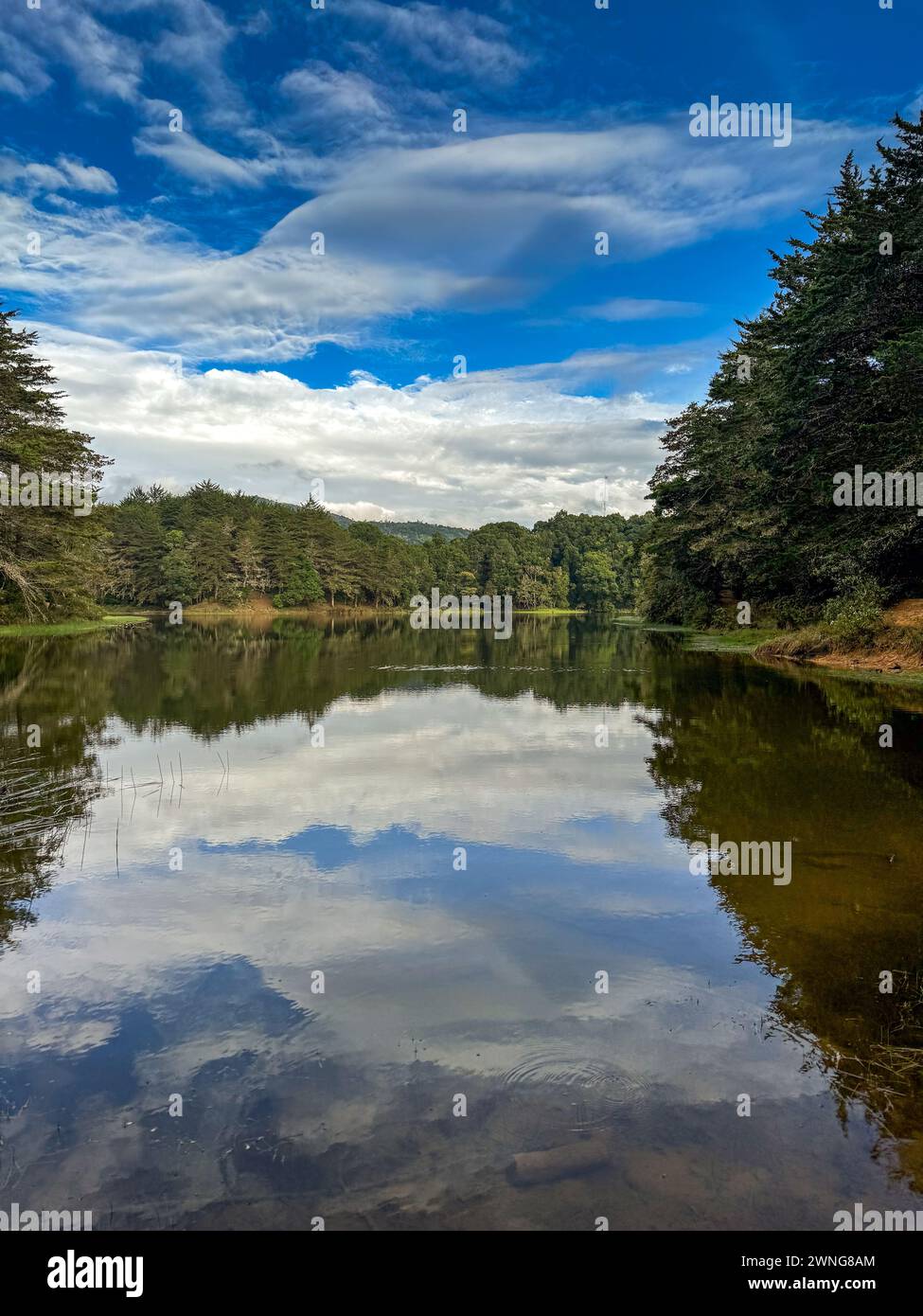 Beautiful blonde woman sitting next to a lake in the forest of Costa ...