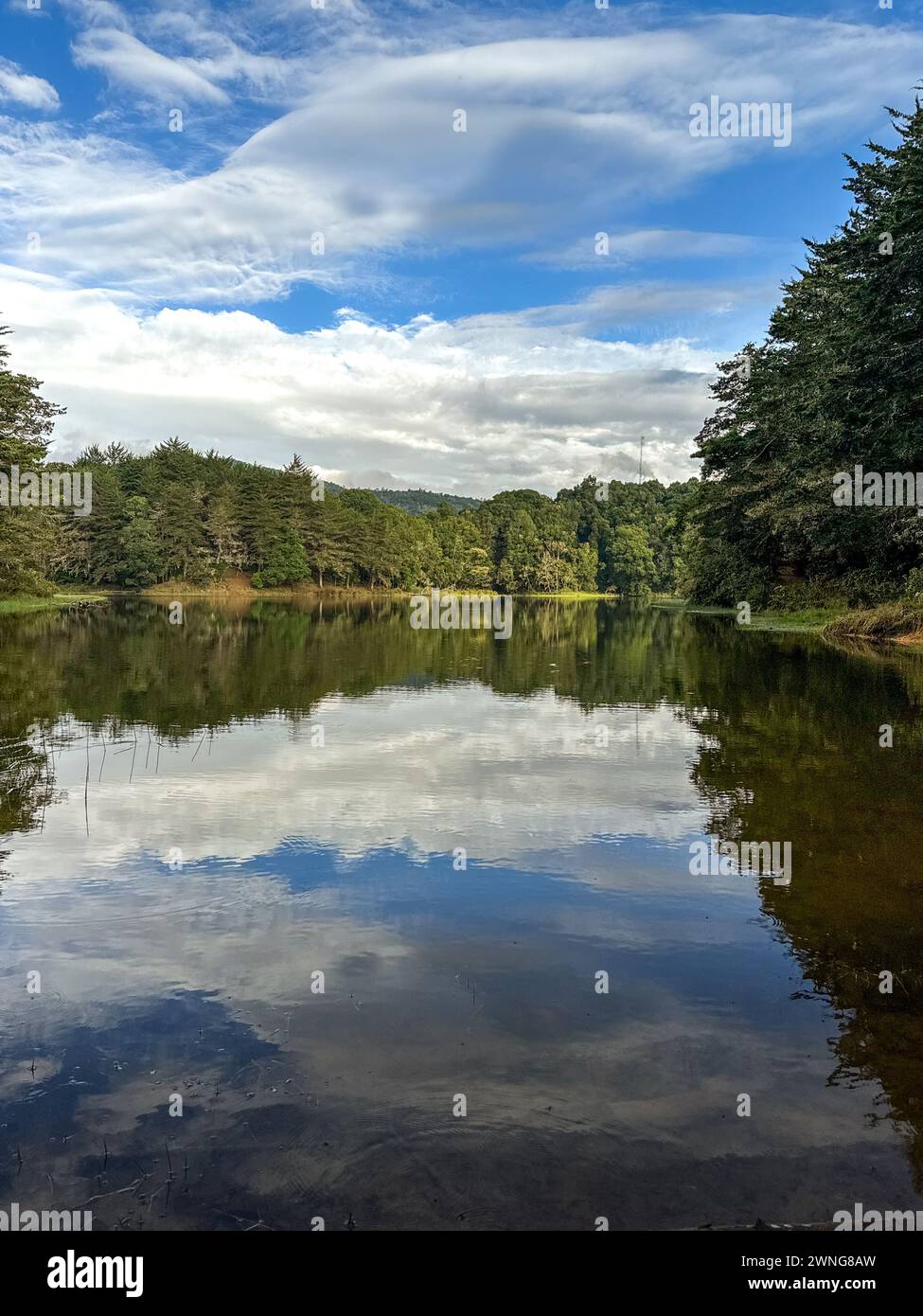Beautiful blonde woman sitting next to a lake in the forest of Costa ...