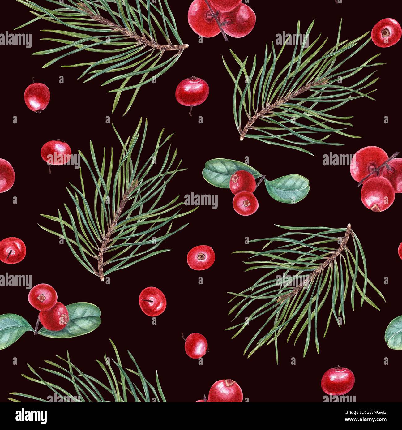 Cranberry logo hi-res stock photography and images - Alamy