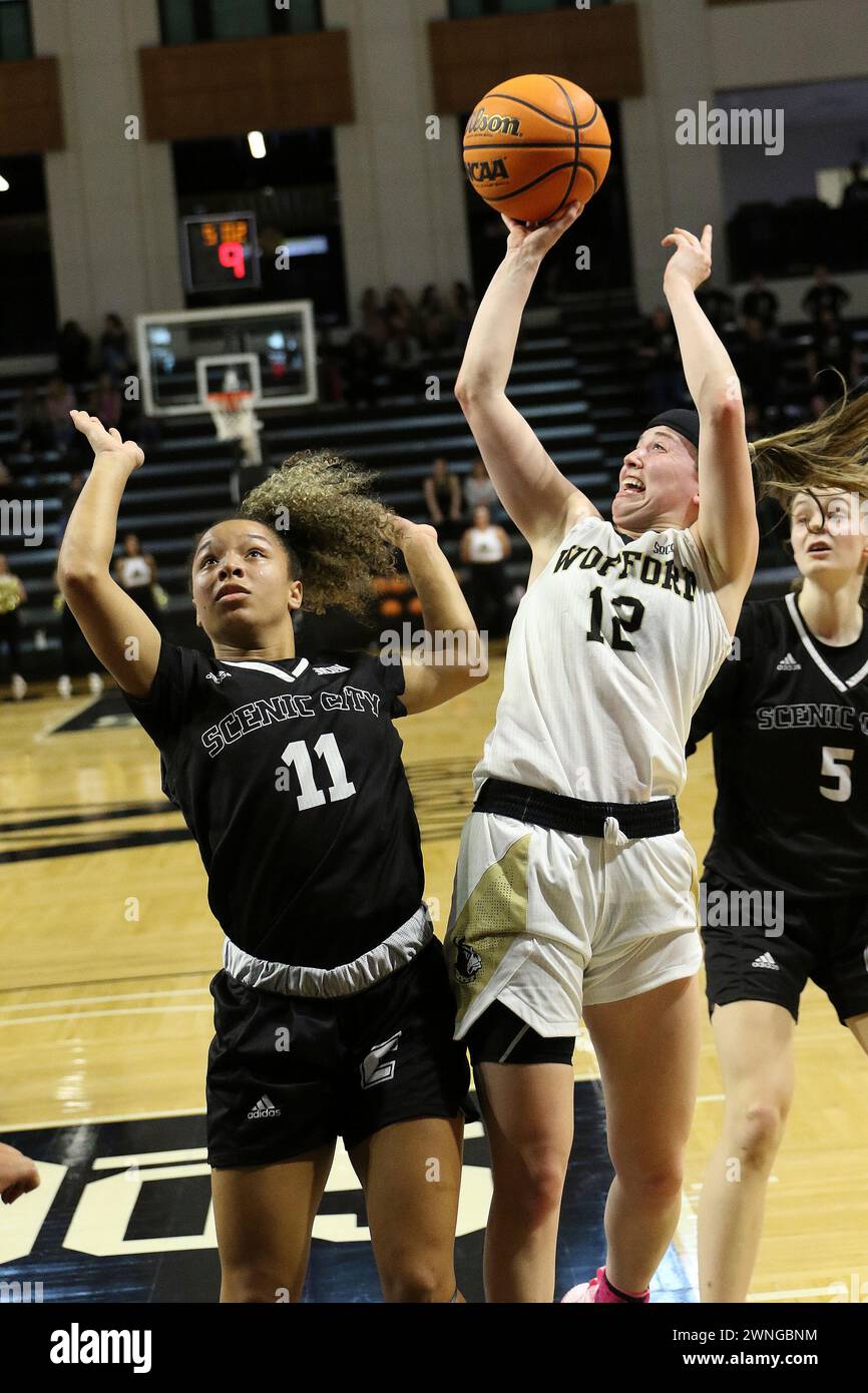 SPARTANBURG, SC - MARCH 02: Wofford Terriers guard Rachael Rose (12 ...