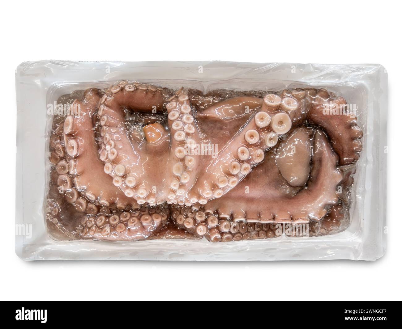 Frozen octopus in vacuum packed sealed tray for sous vide cooking ...