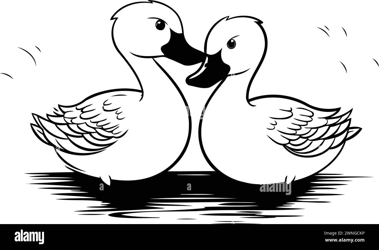 Two swans. Black and white vector illustration isolated on white ...