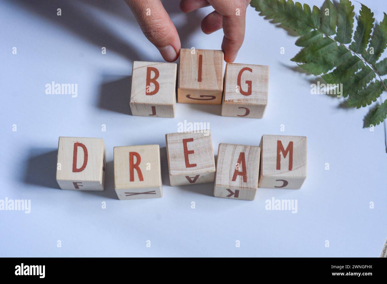 English vocabulary "BIG DREAM" with medium brown wooden blocks, pink ...