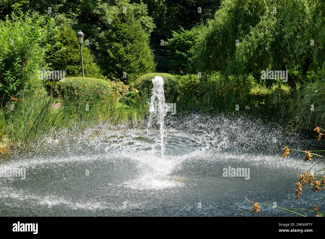 Splashing Water Fountain Close Up Abstract Stock Photo - Alamy