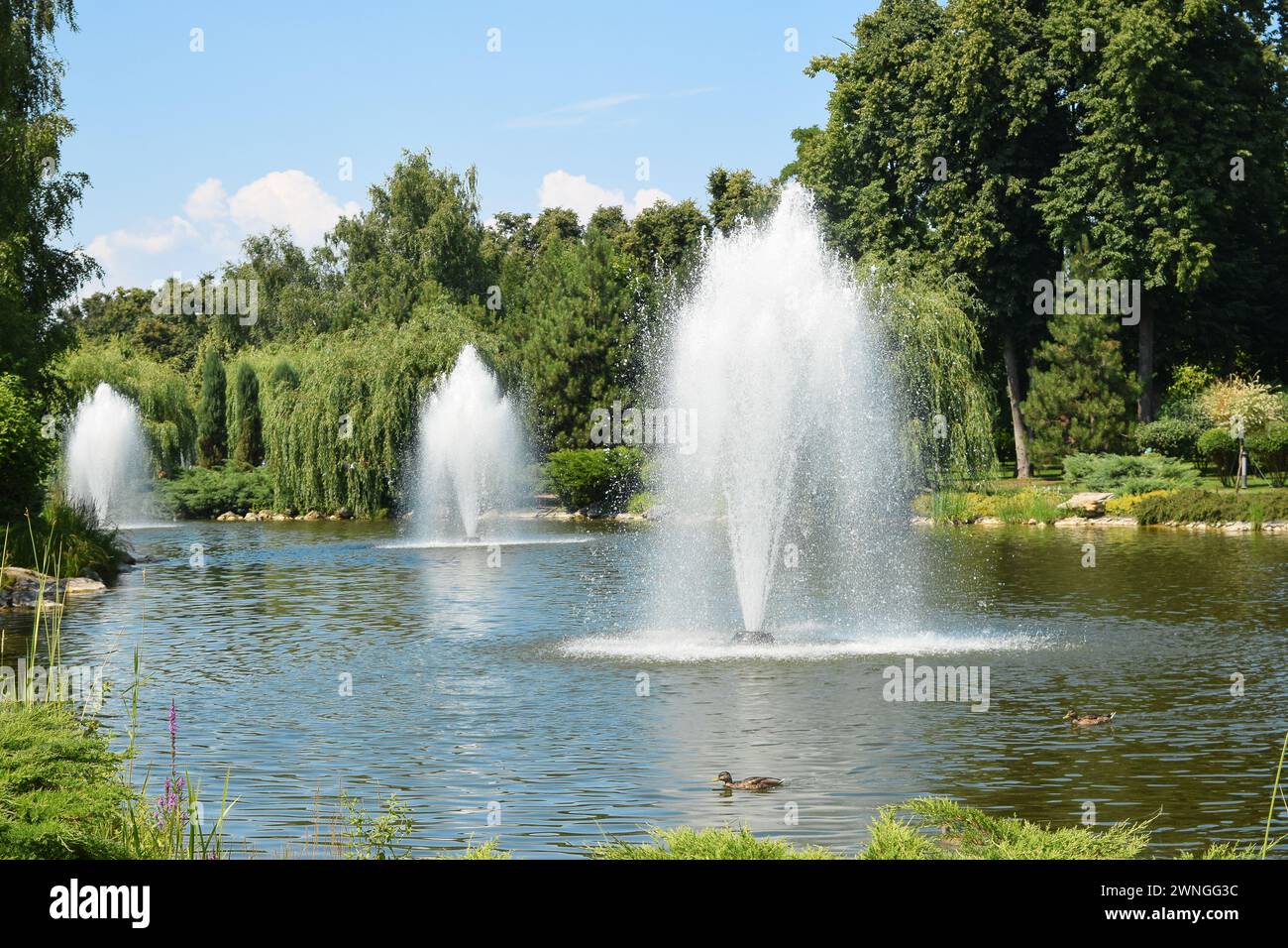 Splashing Water Fountain Close Up Abstract Stock Photo - Alamy