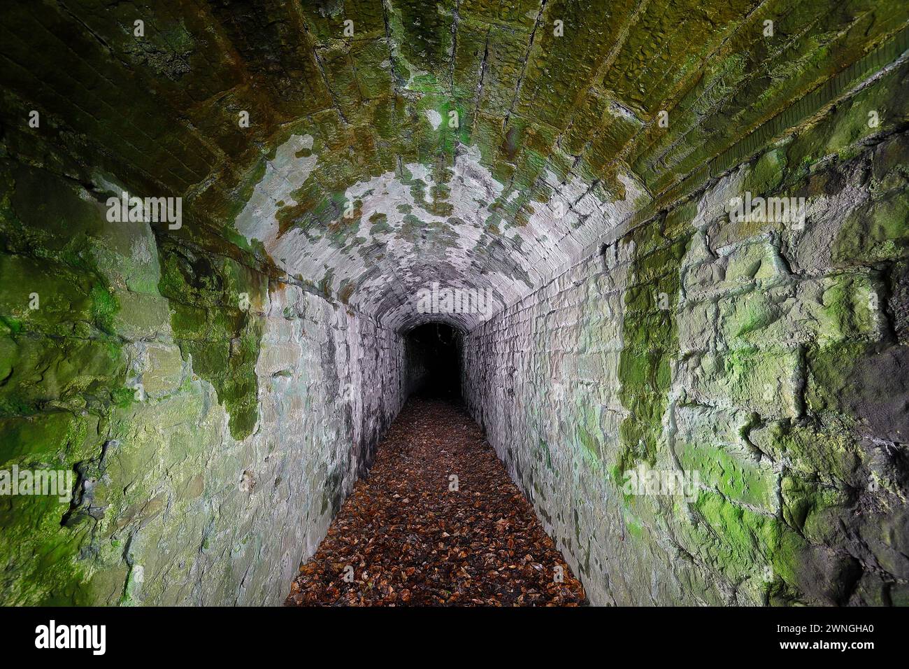 Harewood tunnel hi-res stock photography and images - Alamy