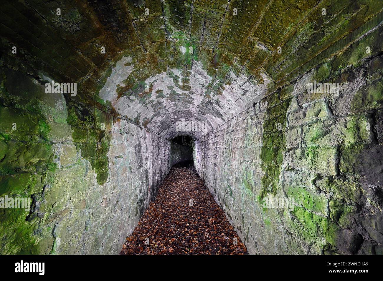 A tunnel that leads to Harewood Castle near Leeds,West Yorkshire,UK ...