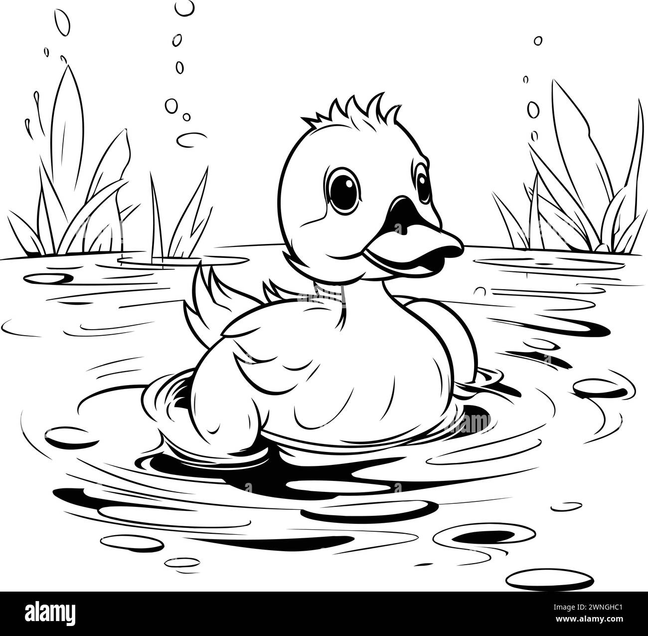 Little duckling Black and White Stock Photos & Images - Alamy