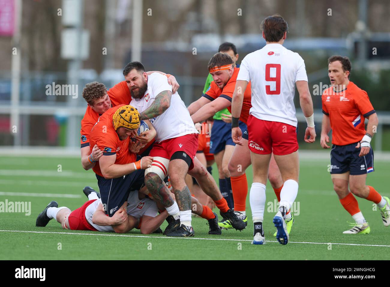 Mateusz plichta hi-res stock photography and images - Alamy