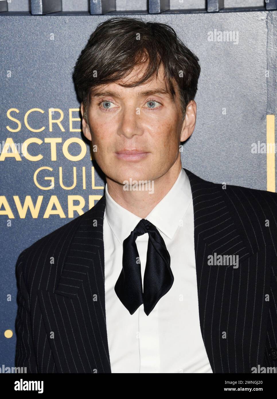 LOS ANGELES, CALIFORNIA - FEBRUARY 24: Cillian Murphy attends the 30th ...