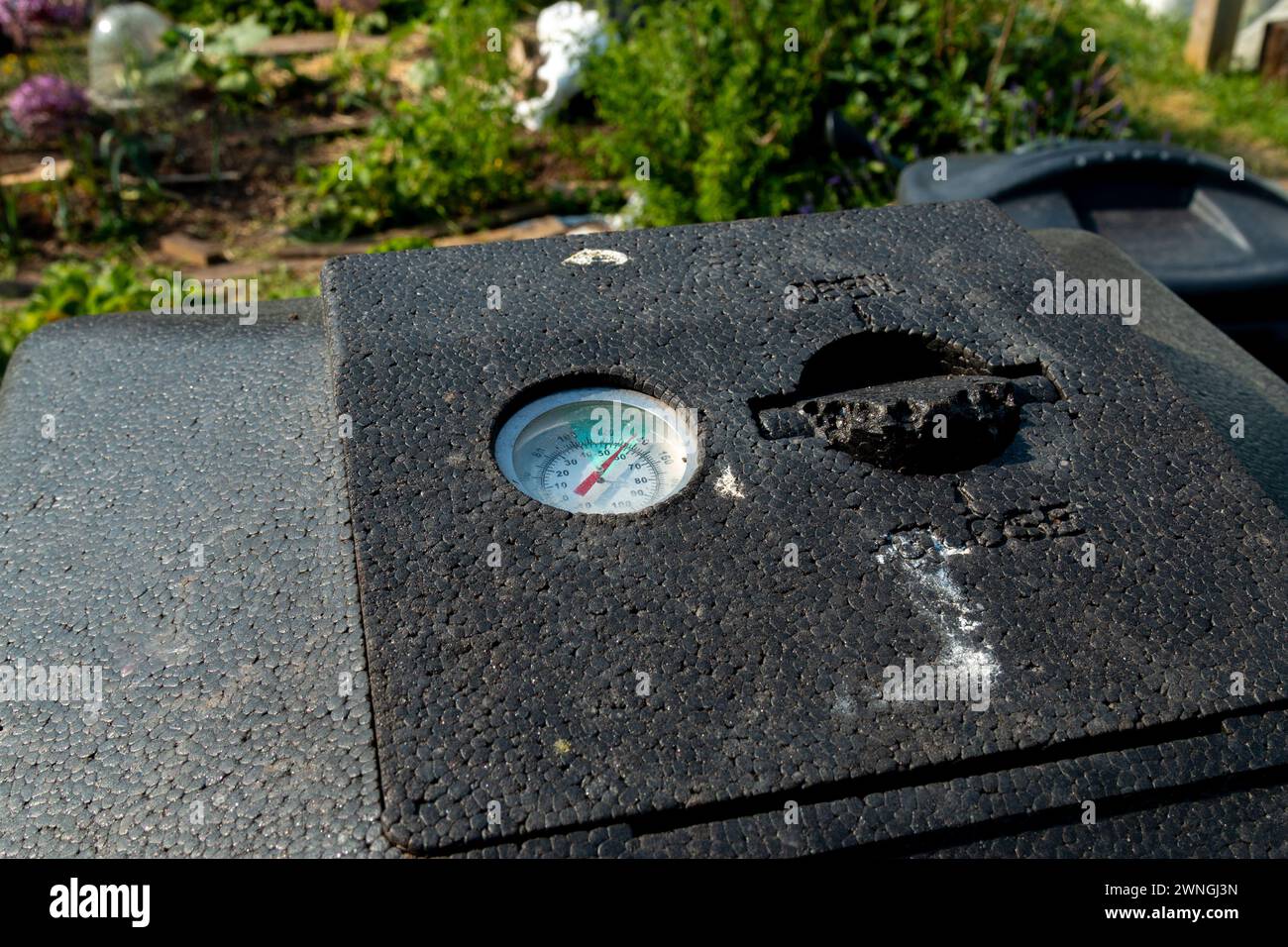 A working HotBin compost bin on an allotment. The built in thermometer ...
