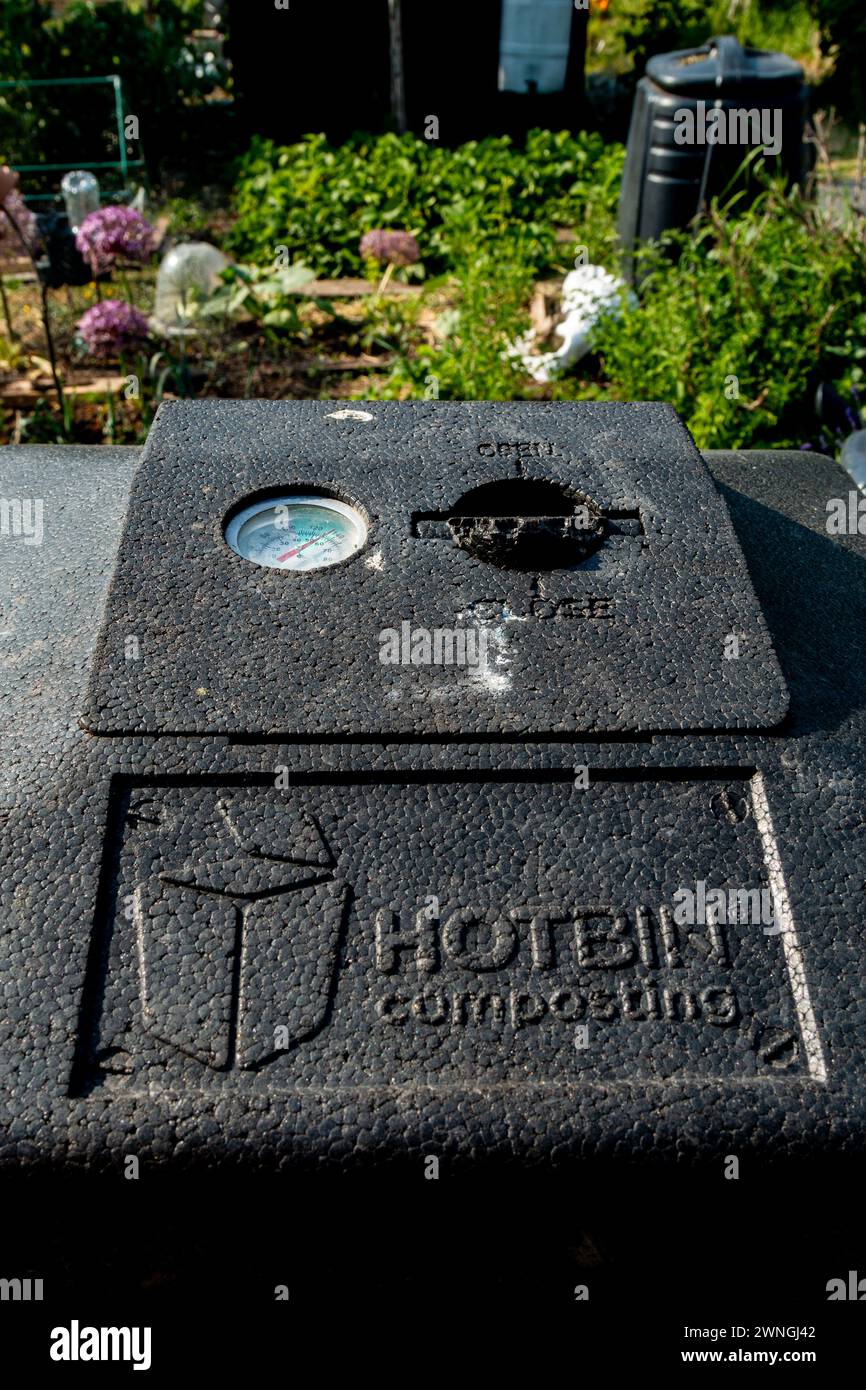 A working HotBin compost bin on an allotment. The built in thermometer ...
