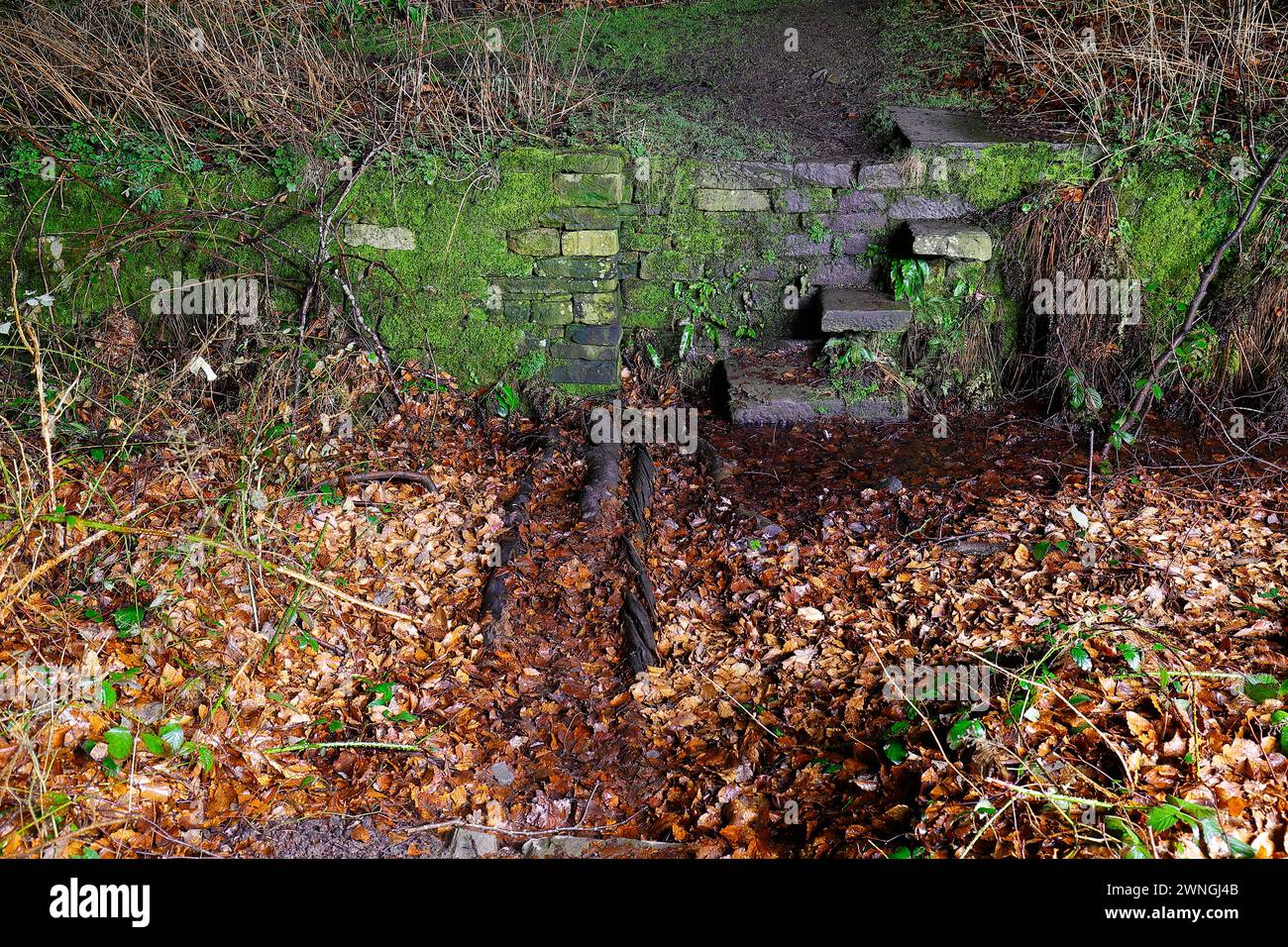 Steps built in to a stone wall that leads to Harewood Castle near Leeds ...
