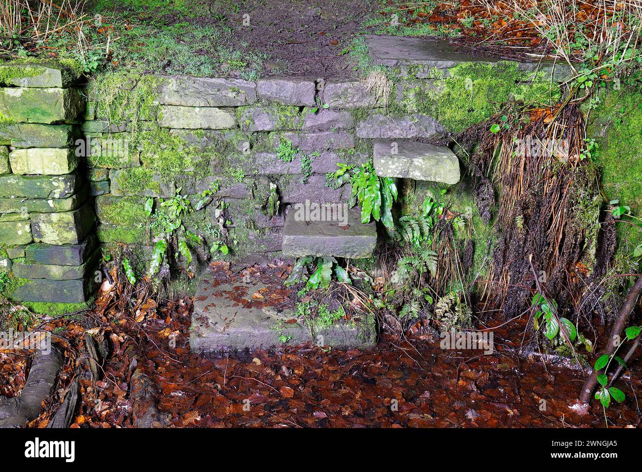 Steps built in to a stone wall that leads to Harewood Castle near Leeds ...