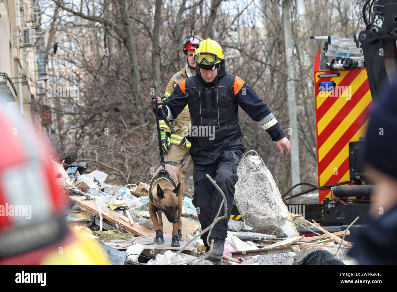 ODESA, UKRAINE - MARCH 2, 2024 - A handler and a dog examine the ruins watch at a section of a ...