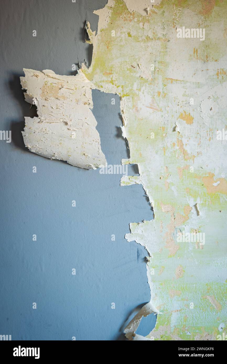 Stripped wallpaper pieces laying on floor during room renovation in ...