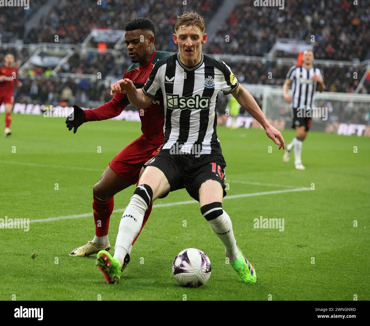 Newcastle Upon Tyne, UK. 2nd Mar, 2024. Anthony Gordon of Newcastle ...