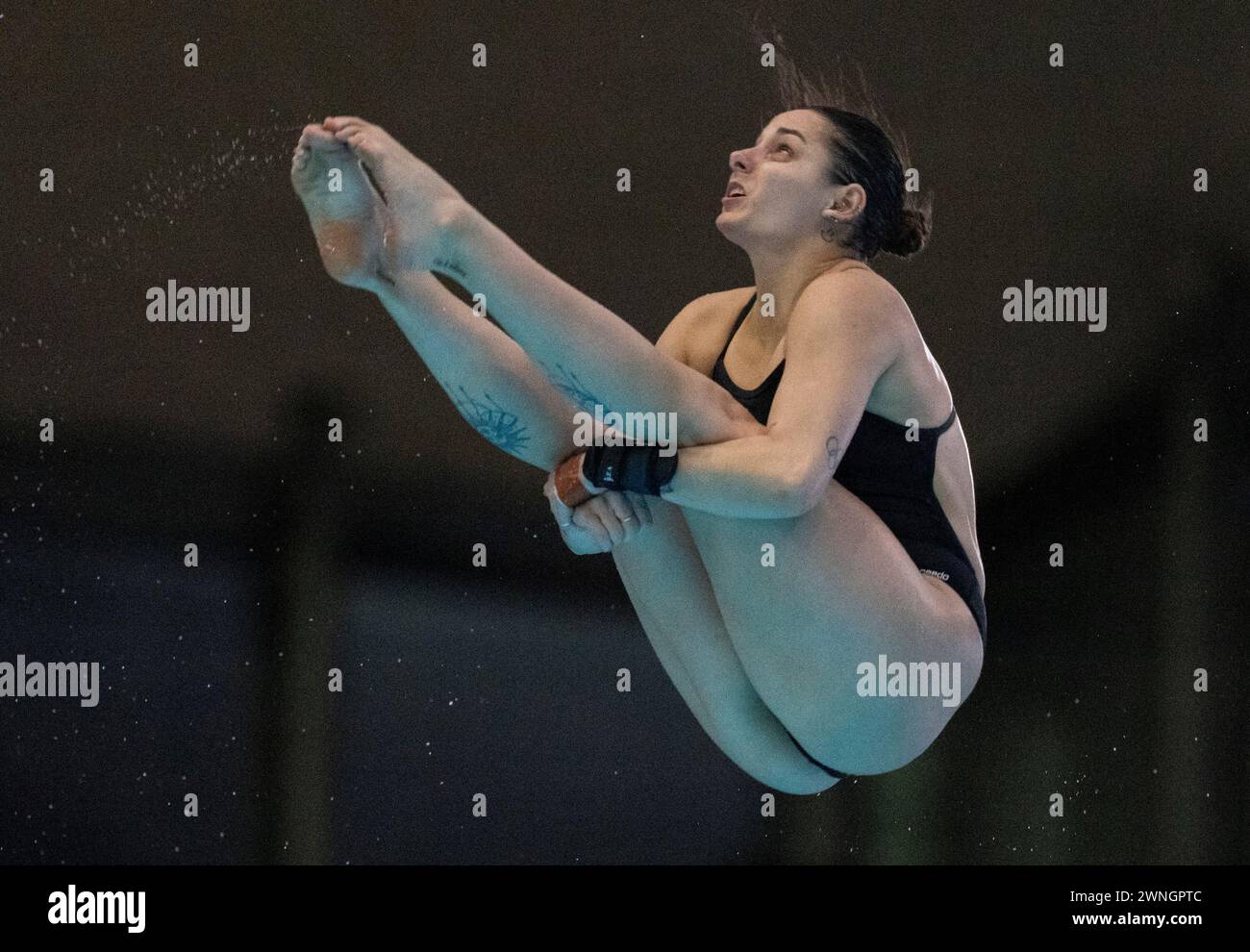 Pamela Ware of Canada competes during the women's 3m springboard final ...