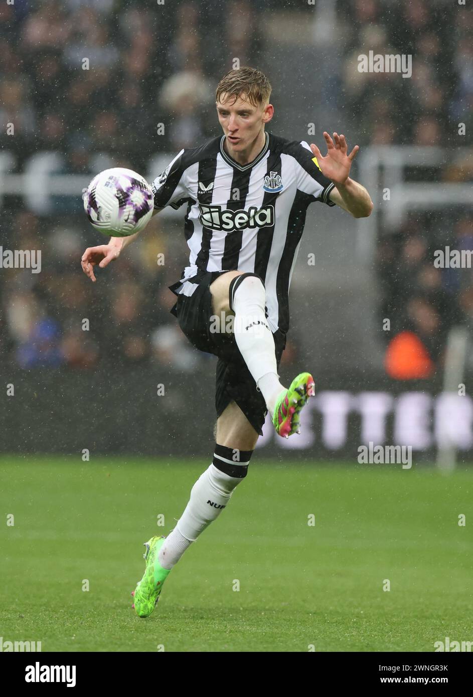 Newcastle Upon Tyne, UK. 2nd Mar, 2024. Anthony Gordon of Newcastle ...