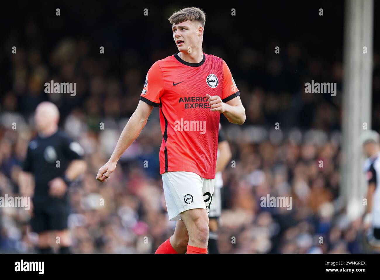 LONDON, ENGLAND - MARCH 02: Evan Ferguson of Brighton & Hove Albion ...