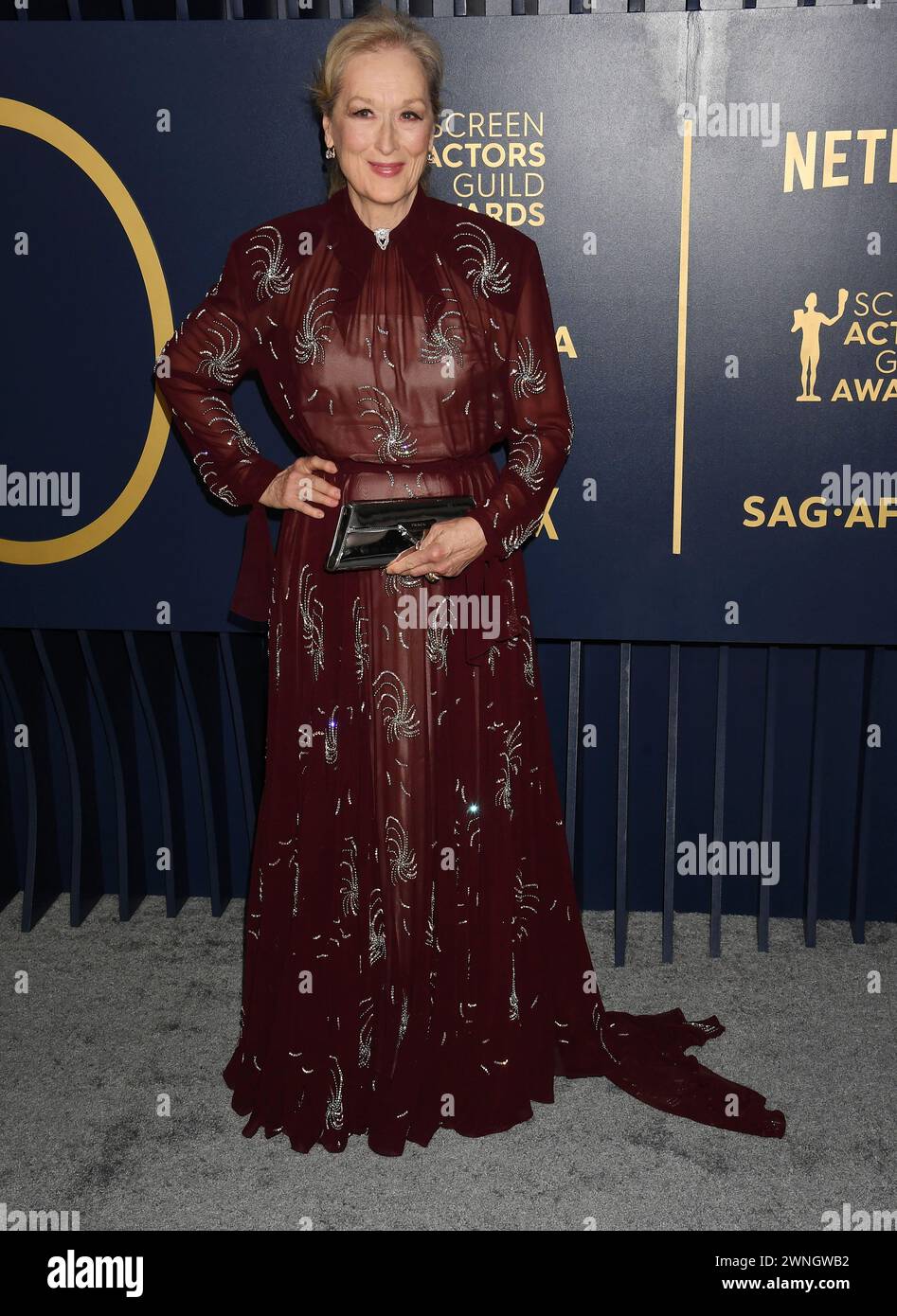 LOS ANGELES, CALIFORNIA - FEBRUARY 24: Meryl Streep attends the 30th ...