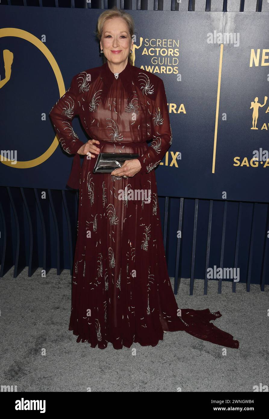 LOS ANGELES, CALIFORNIA - FEBRUARY 24: Meryl Streep attends the 30th ...