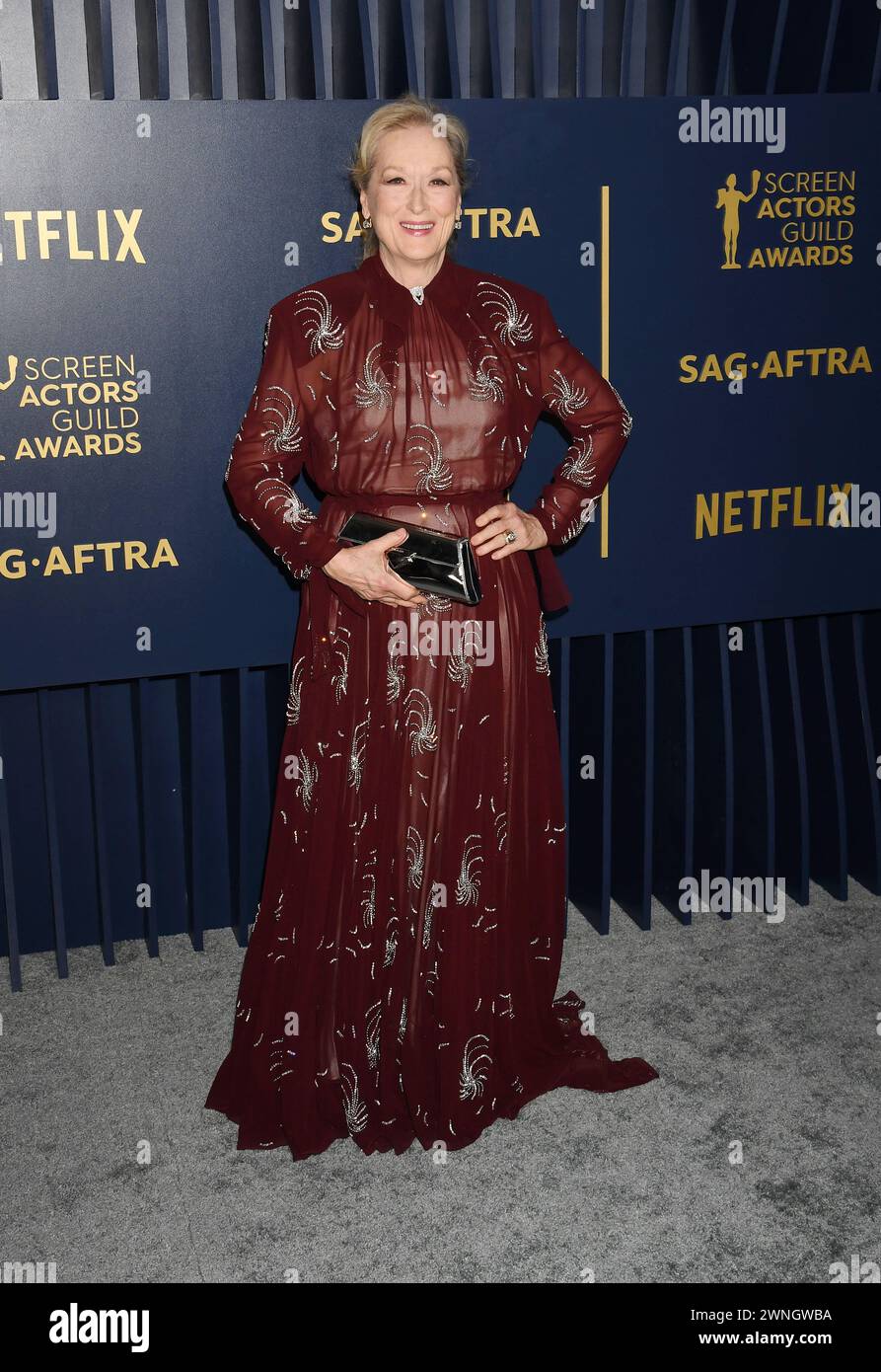 LOS ANGELES, CALIFORNIA - FEBRUARY 24: Meryl Streep attends the 30th ...