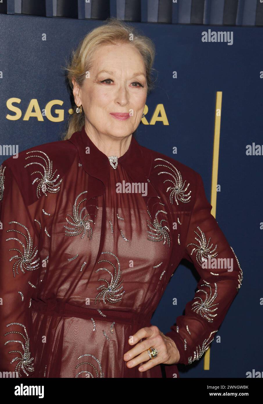 LOS ANGELES, CALIFORNIA - FEBRUARY 24: Meryl Streep attends the 30th ...