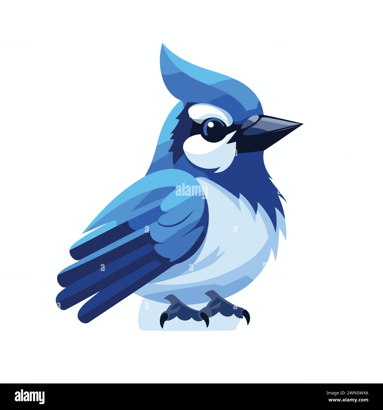 Cute Blue Jay Bird Cartoon Vector Illustration Isolated On A White Background Stock Vector Image