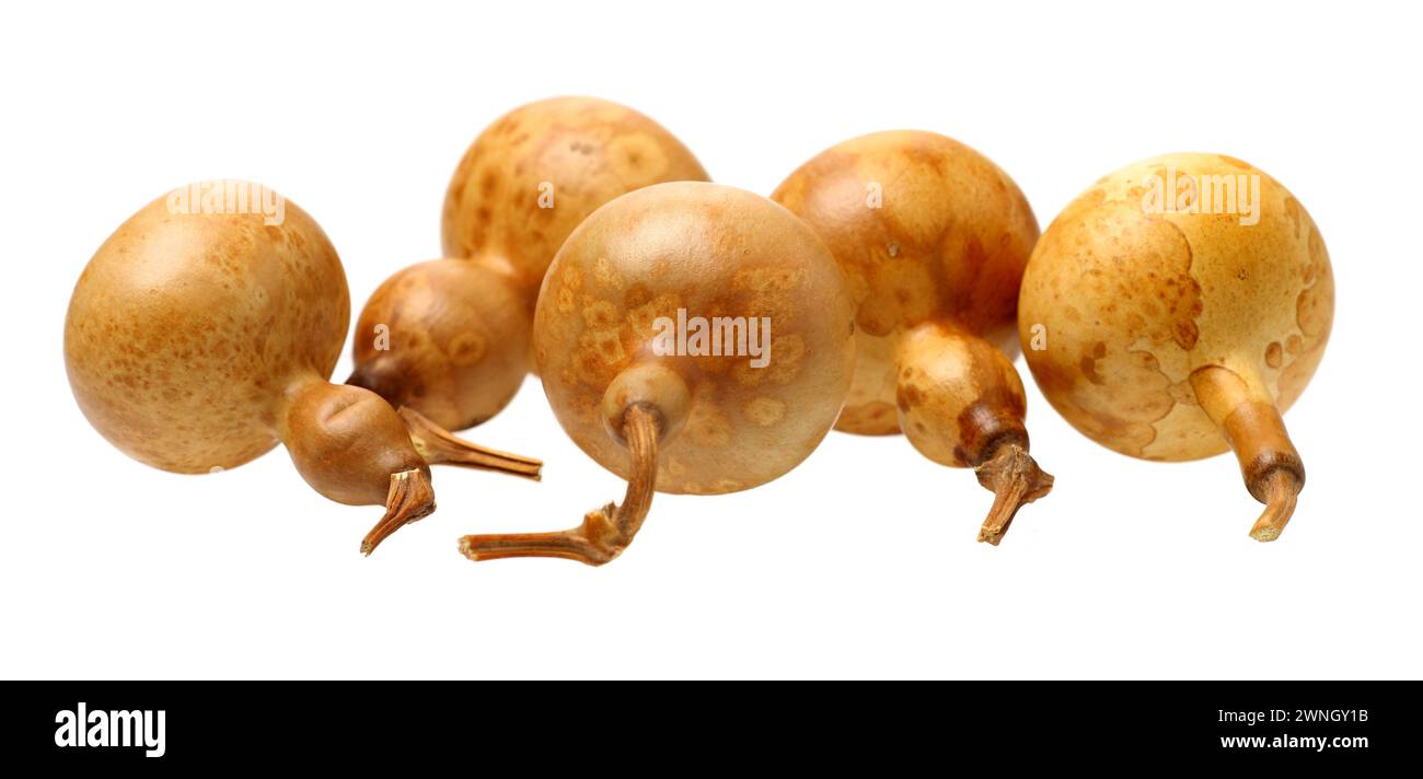 Calabash isolated on white background Stock Photo - Alamy