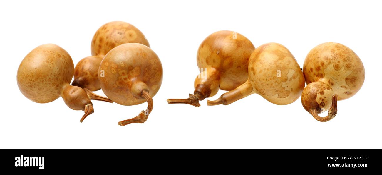 Calabash isolated on white background Stock Photo - Alamy