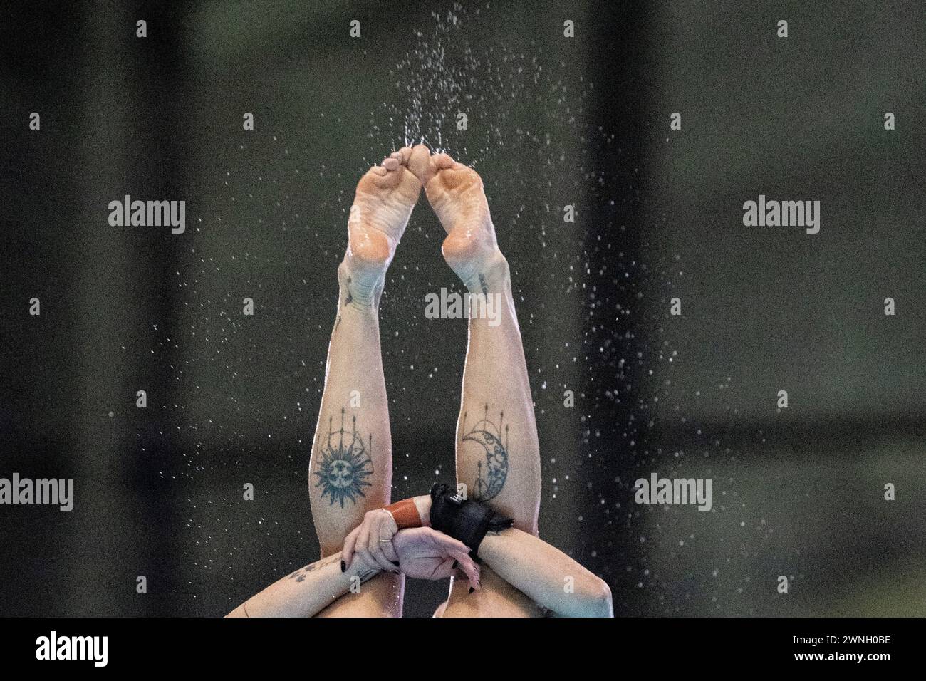 Montreal, Canada. 02nd Mar, 2024. March 2, 2024, Montreal, Pq, CANADA ...