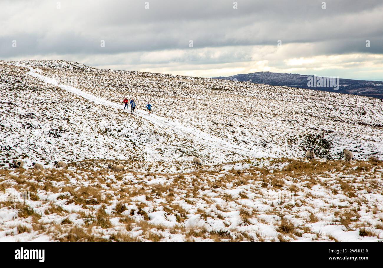Group of people fell running over a snow covered Axe Moor in the ...