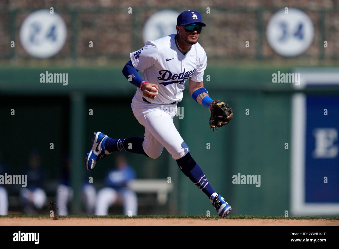 Los Angeles Dodgers shortstop Miguel Rojas fields a hit by Chicago Cubs ...
