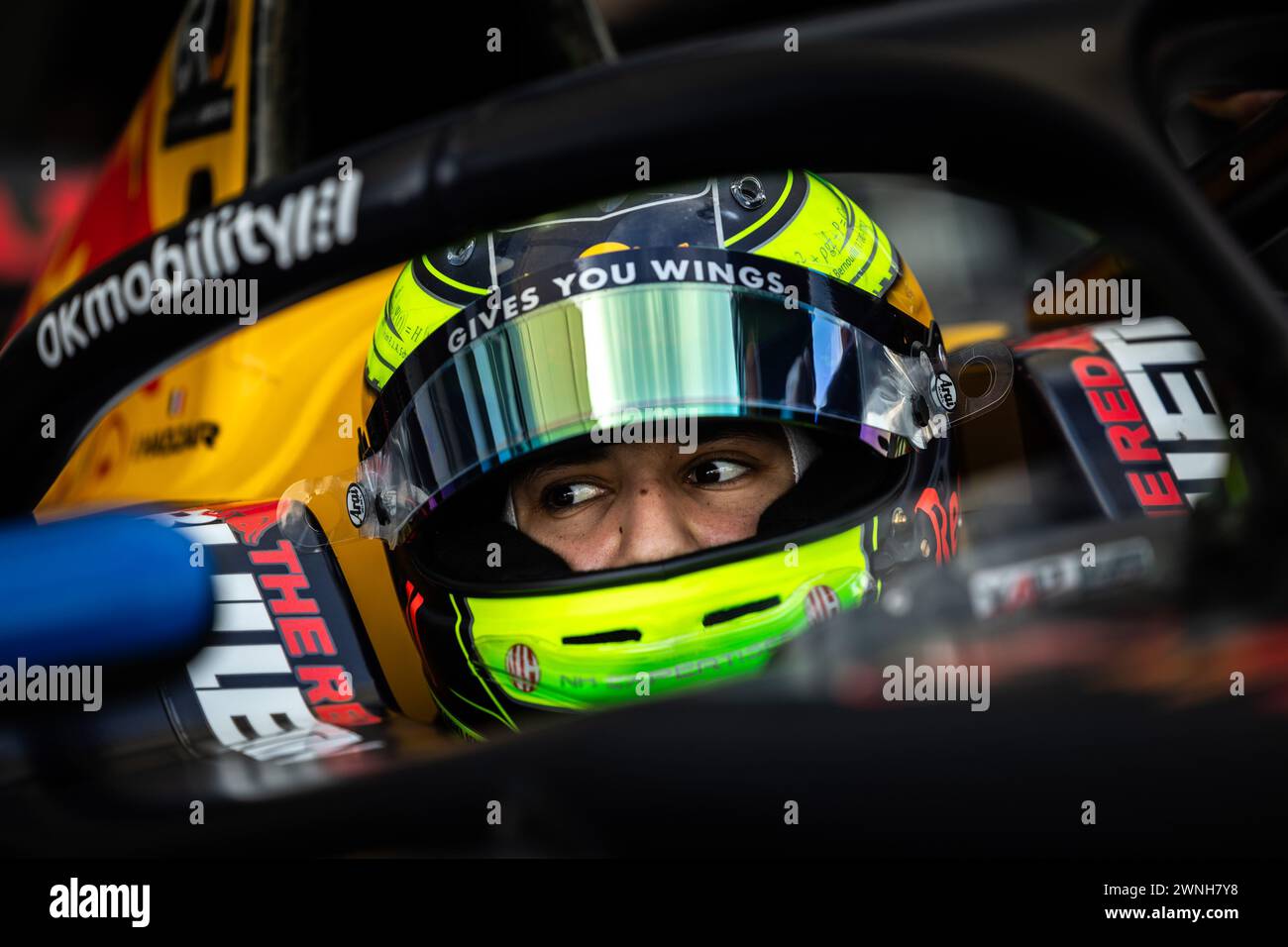 HADJAR Isack (fra), Campos Racing, Dallara F2 2024, portrait during the ...