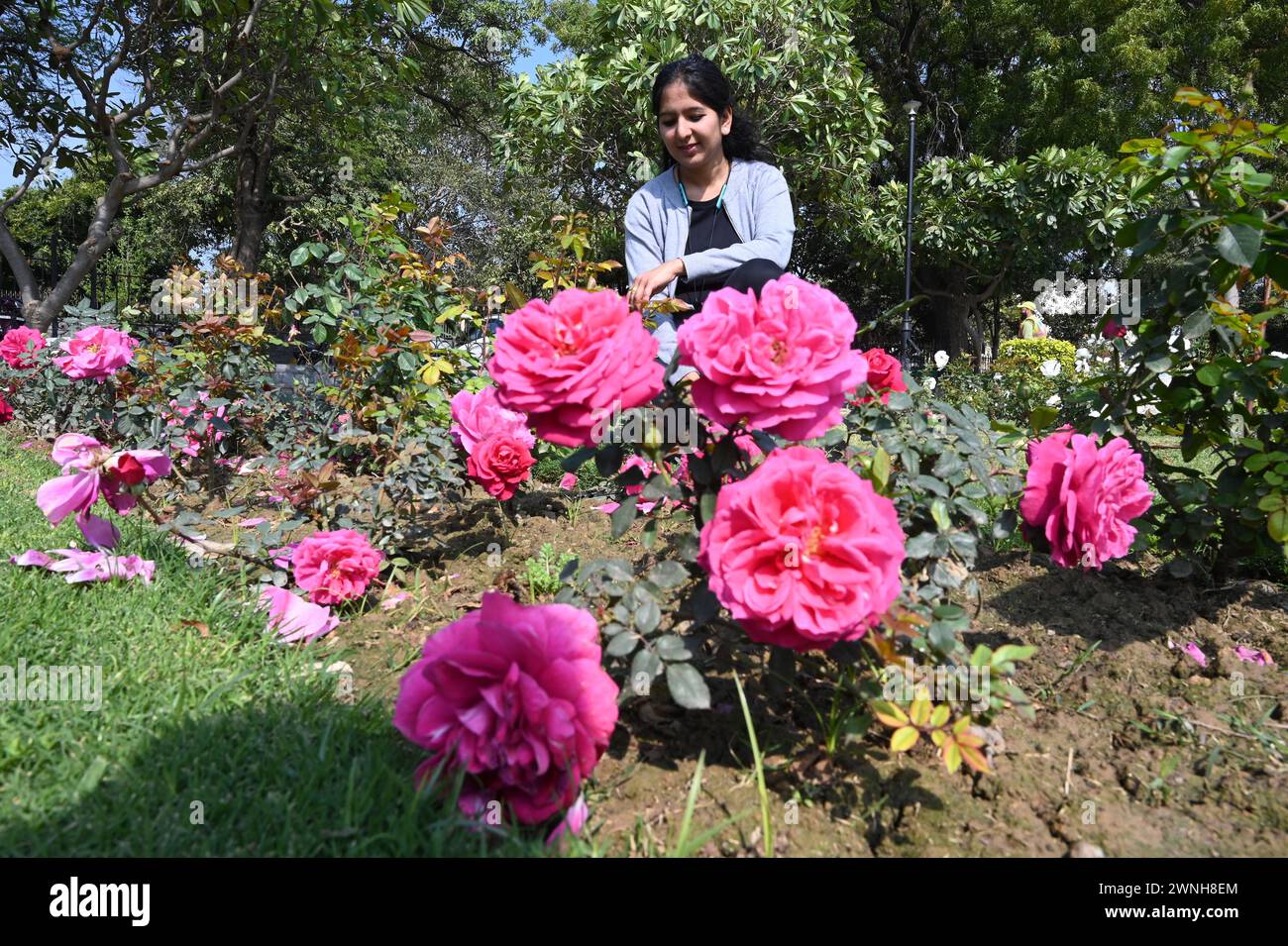 NEW DELHI, INDIA - MARCH 2: People visit the ‘Rose Festival', as parts ...