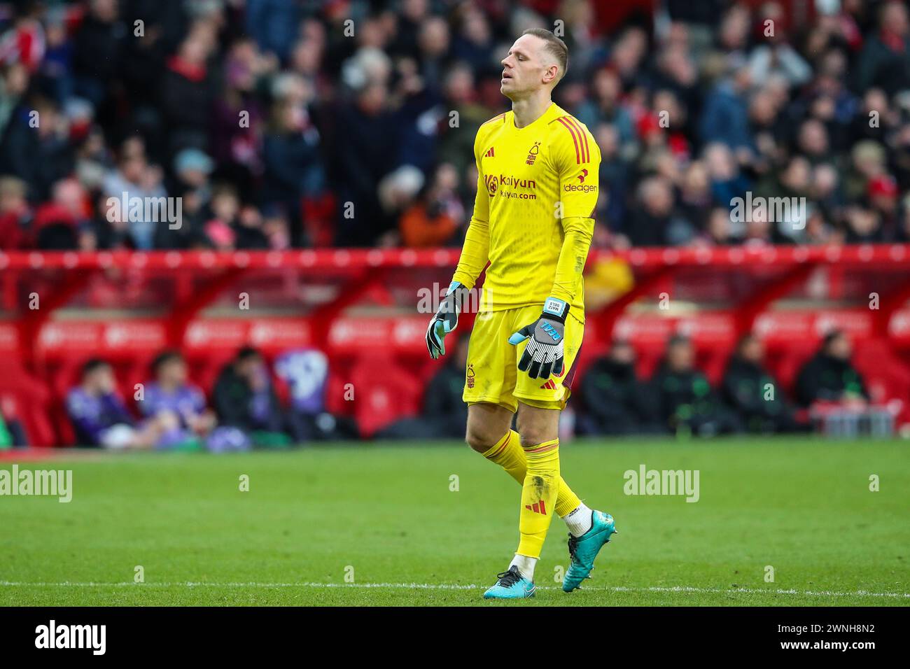 Matz Sels of Nottingham Forest during the Premier League match ...