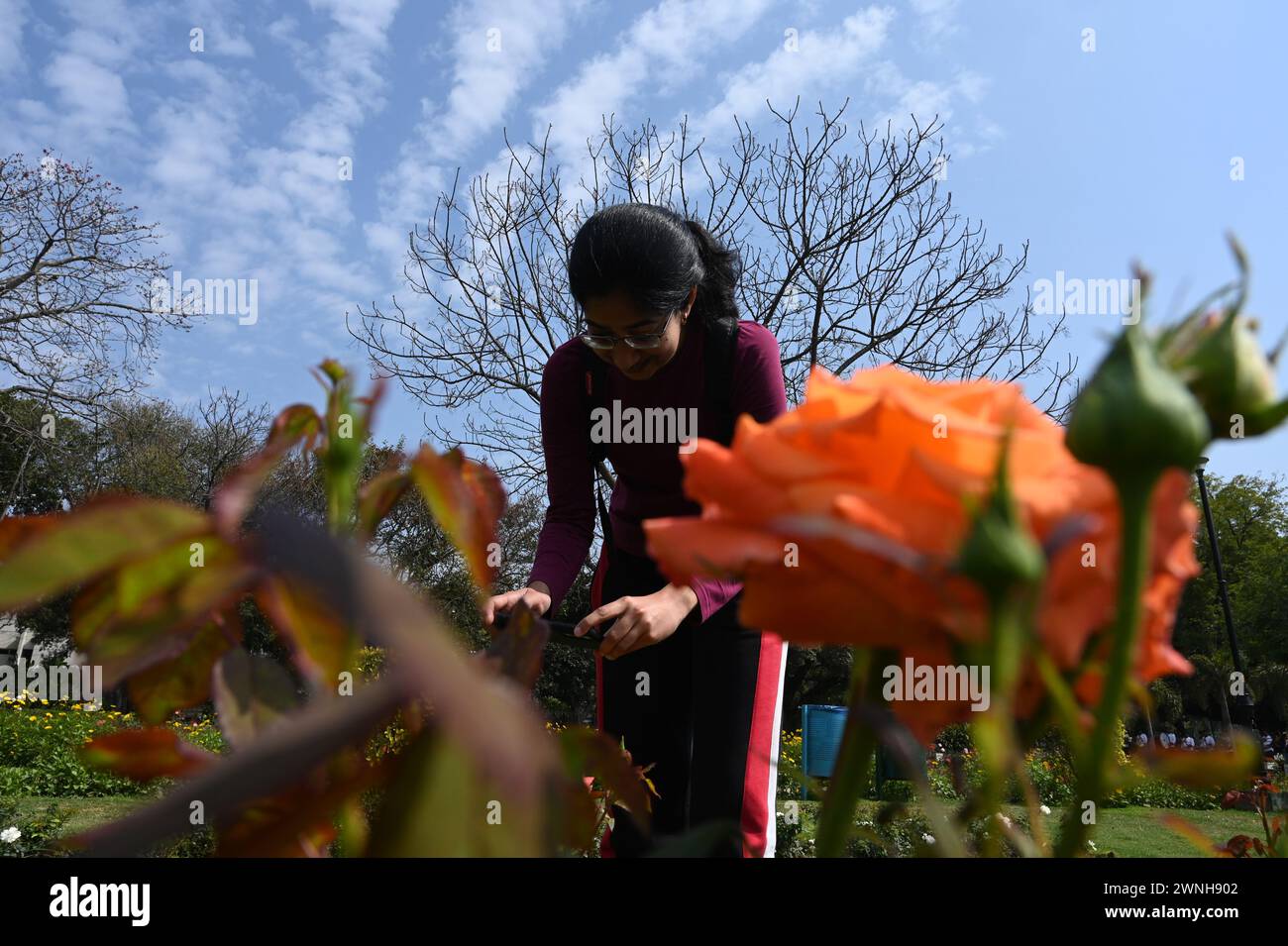 NEW DELHI, INDIA - MARCH 2: People visit the ‘Rose Festival', as parts ...