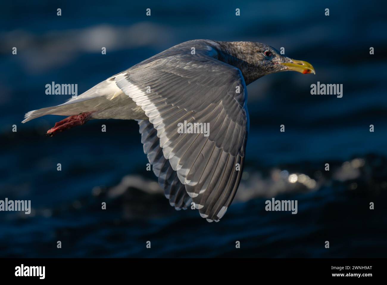 Flying over sea pier sailing hi-res stock photography and images - Alamy