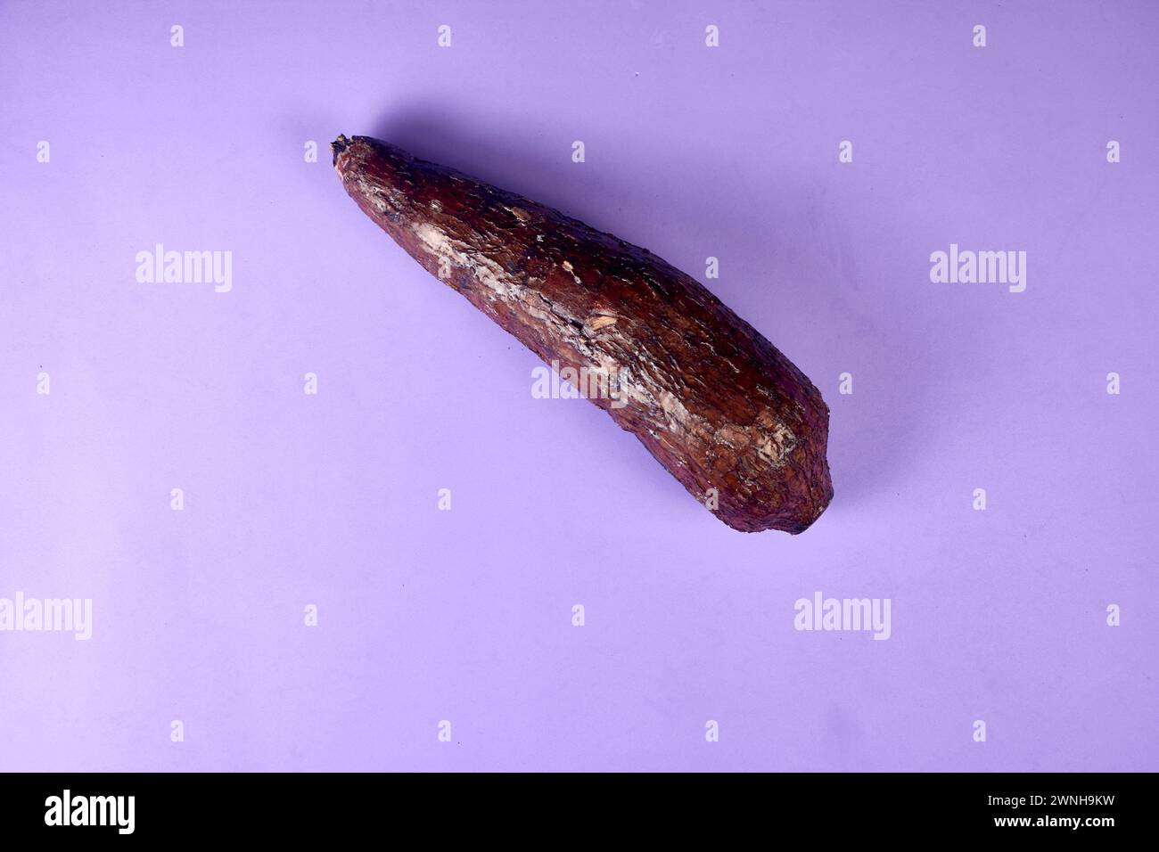 Fresh Organic Cassava Root, Manioc Esculenta, yuca On purple Background ...