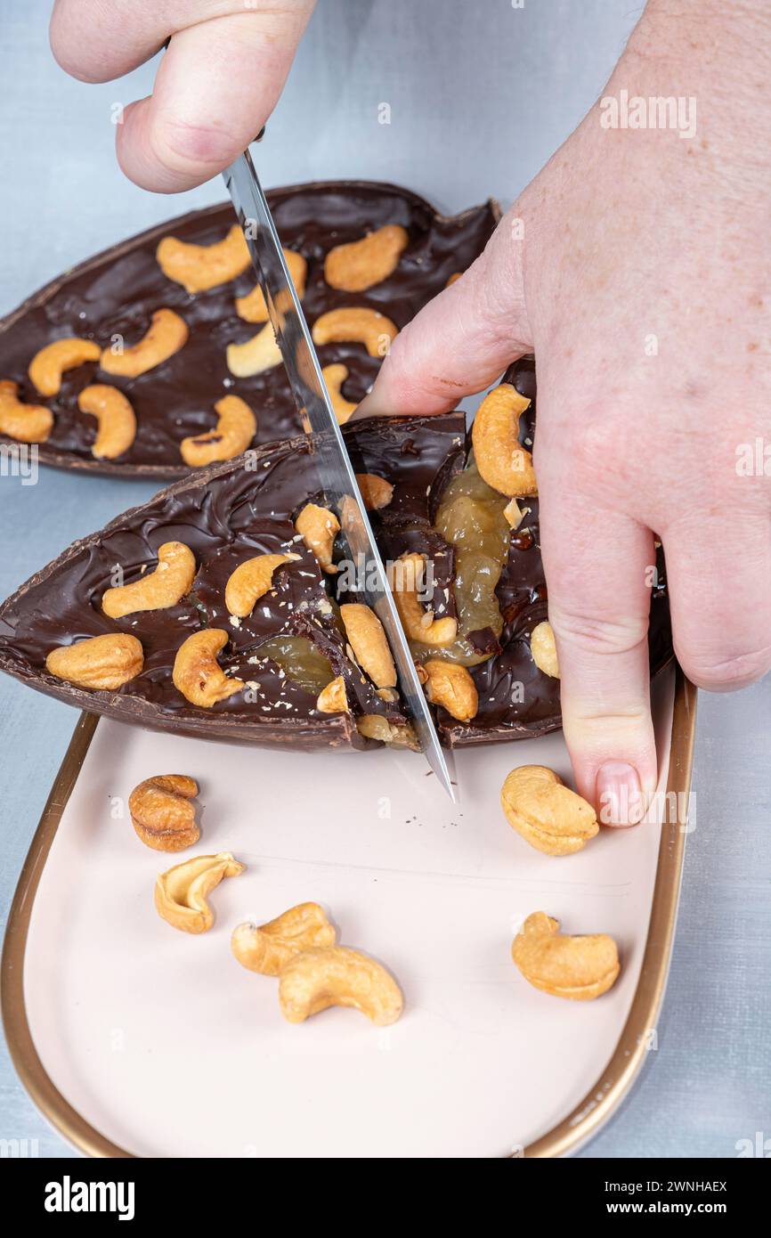 Dark Belgian chocolate Easter egg, filled with cupuaçu jam and cashew ...