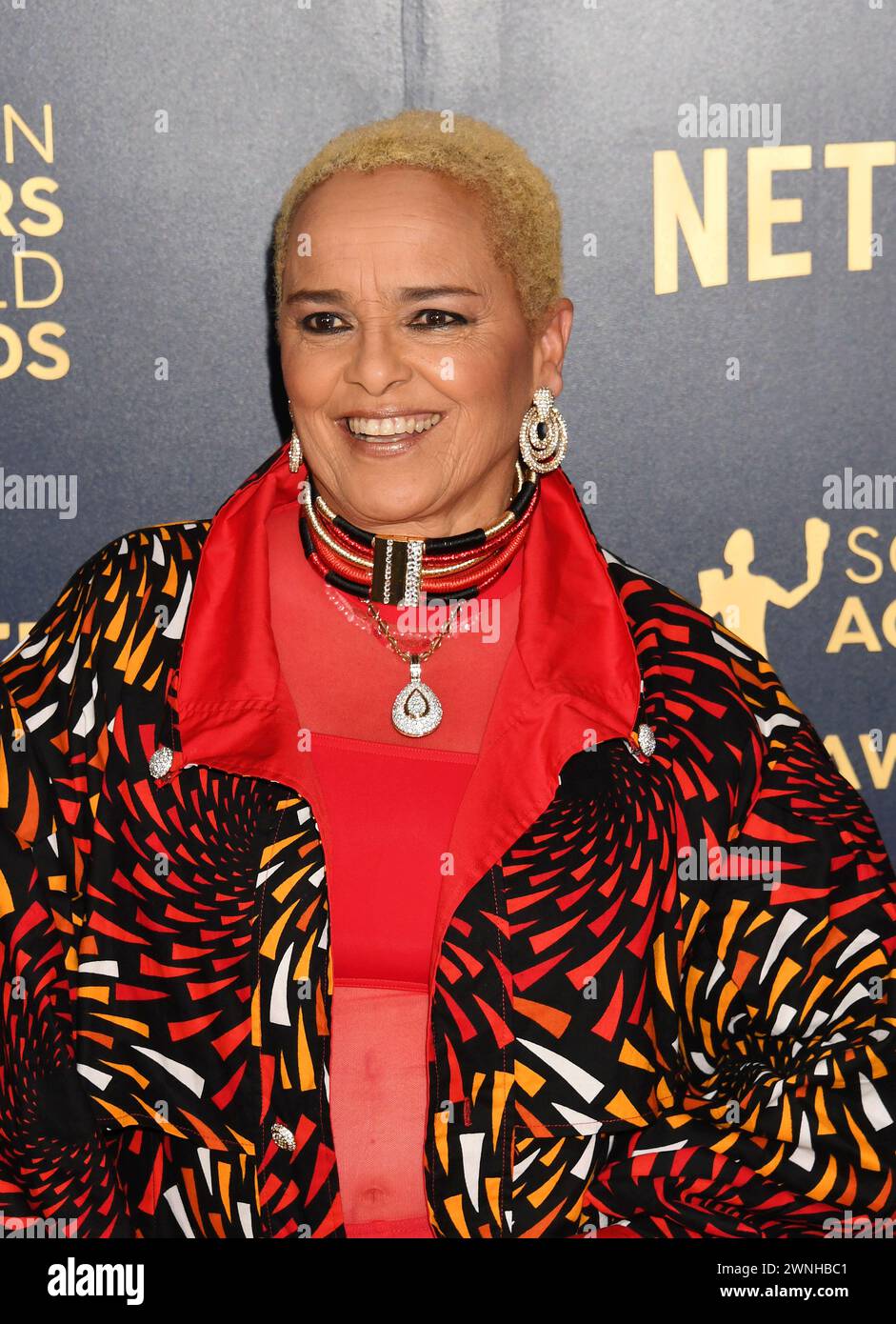 LOS ANGELES, CALIFORNIA - FEBRUARY 24: Shari Belafonte attends the 30th ...