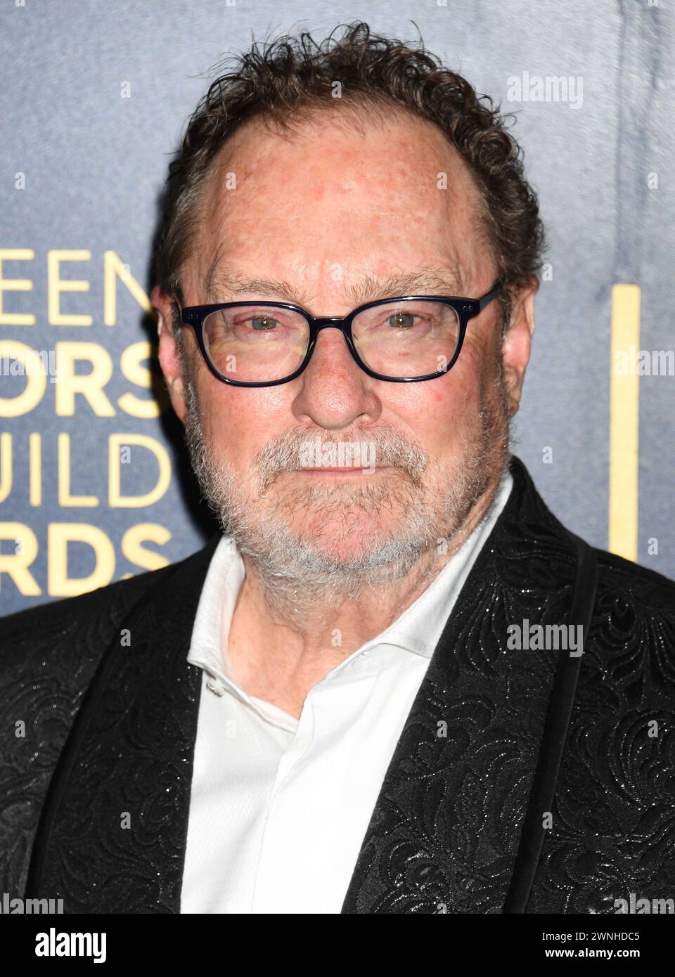 LOS ANGELES, CALIFORNIA - FEBRUARY 24: Stephen Root attends the 30th ...