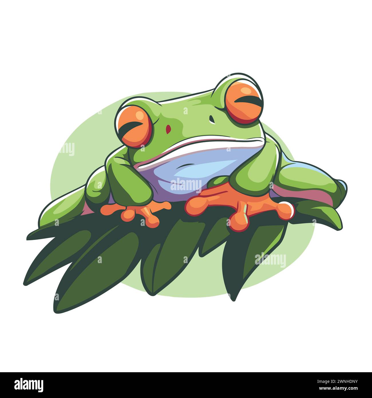 Cartoon green frog on a branch. Vector illustration isolated on white ...