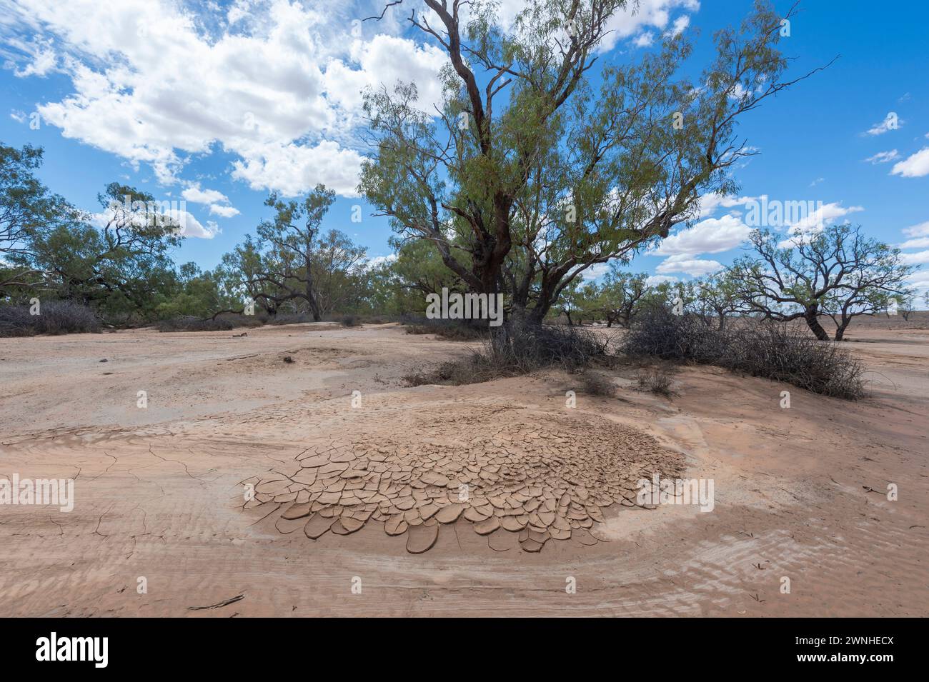Dried mud pattern on Cooper Creek riverbed in the remote Outback town ...