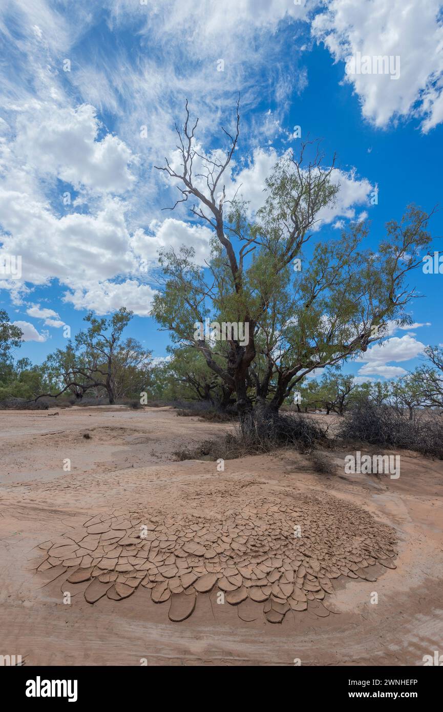 Dried mud pattern on Cooper Creek riverbed in the remote Outback town ...