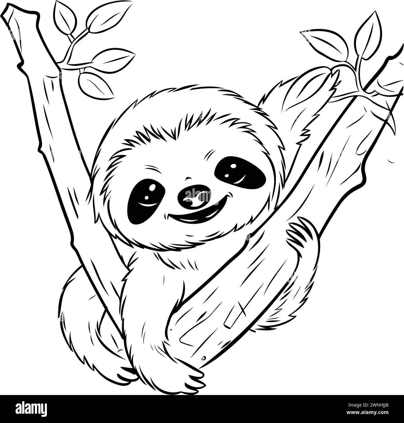 Sketch of cute sloth hanging on a branch. Vector illustration Stock ...